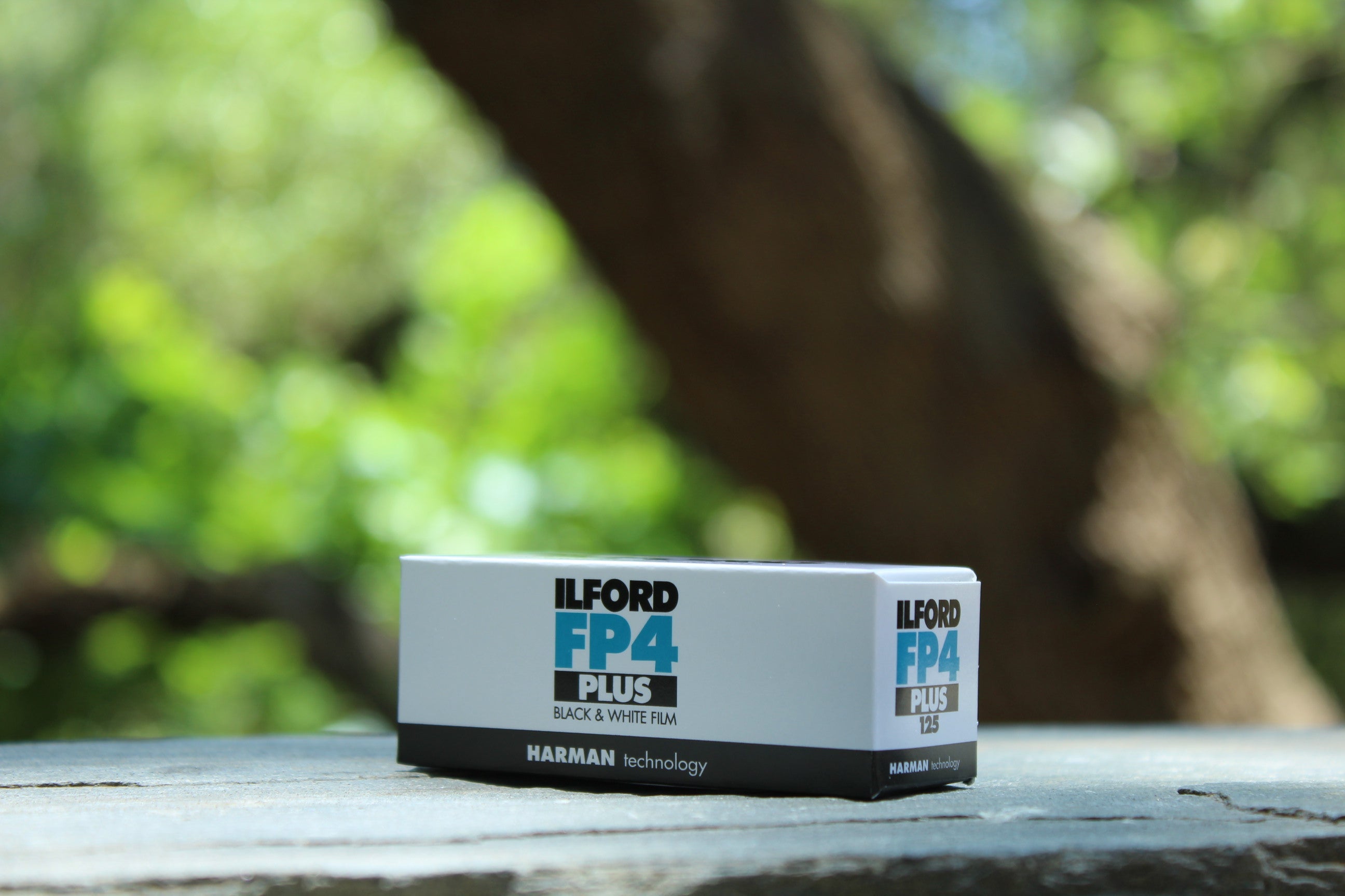 Ilford FP4 Plus Film - 120 Format – Bluebird Film Shop