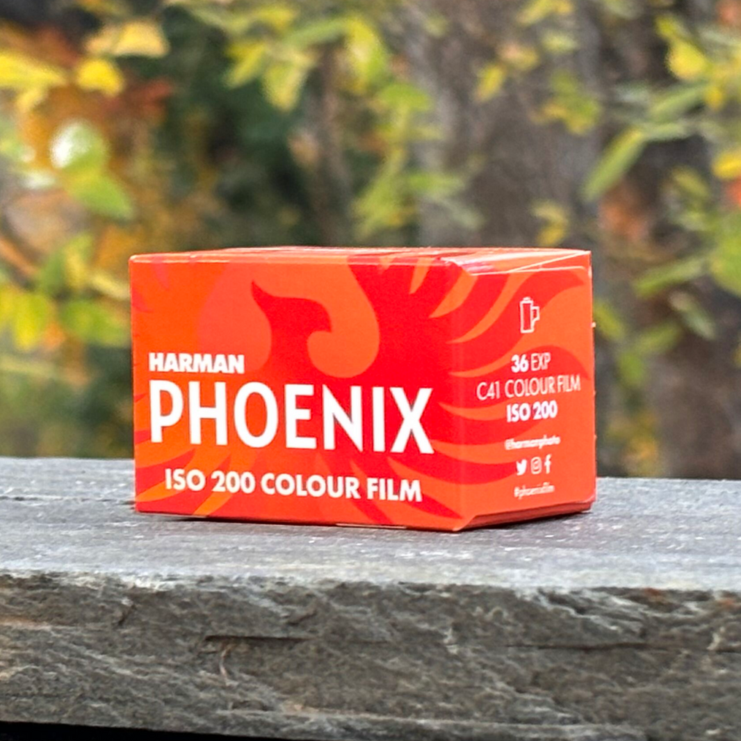 A Film Focused Photography Shop – Bluebird Film Shop